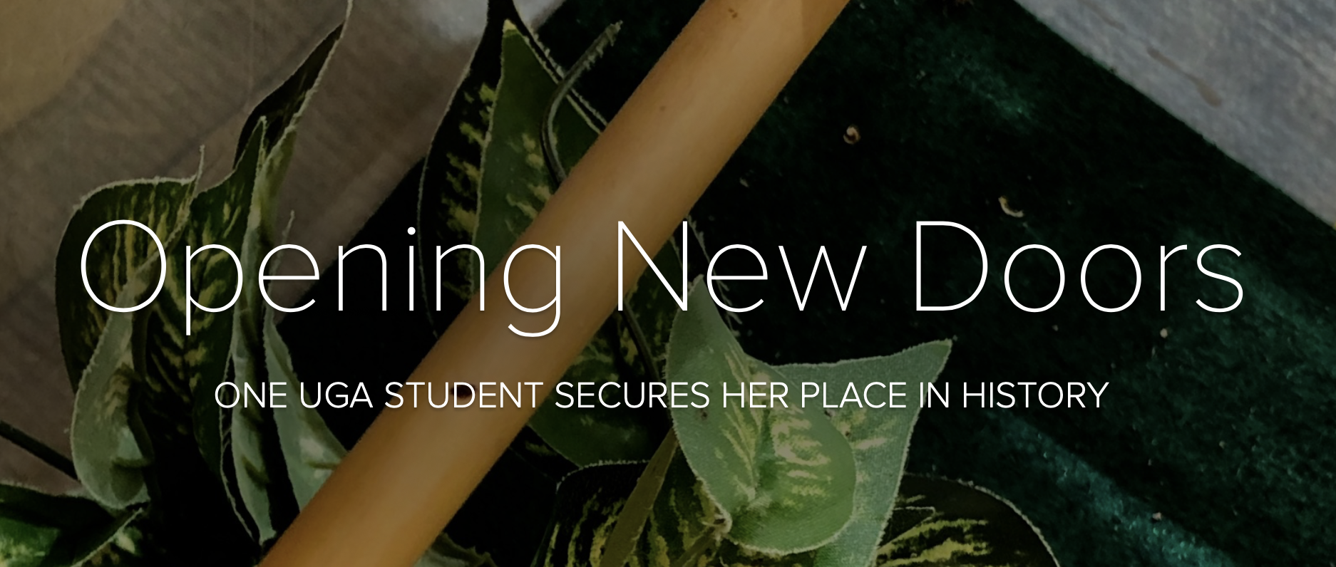 Projects – Kate Hester